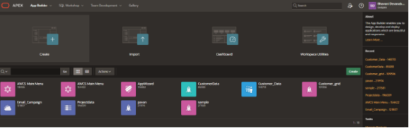 Securing Oracle APEX: Authentication & Authorization Strategies